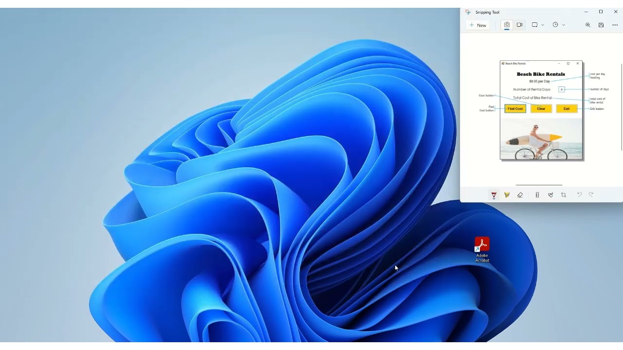 Week 4 Lab: Visual Basic Programing