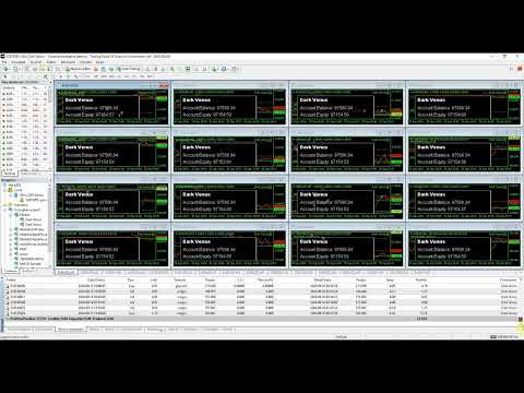 20240920 live results Dark Venus - Build your passive income