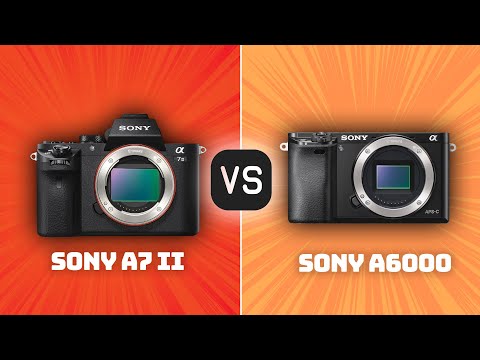Sony A7 II vs Sony A6000: Which Camera Is Better? (With Ratings & Sample Footage)