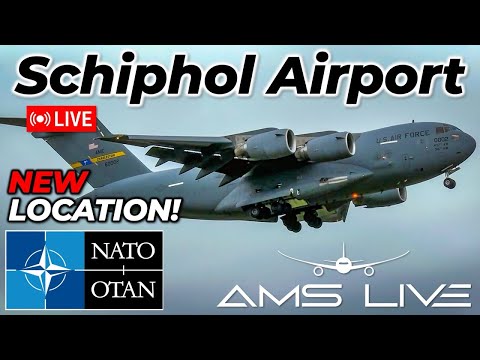 LIVE: Military & VIP Arrivals at Schiphol Airport ✈️ | NATO Summit Traffic – NEW Spotting Location!