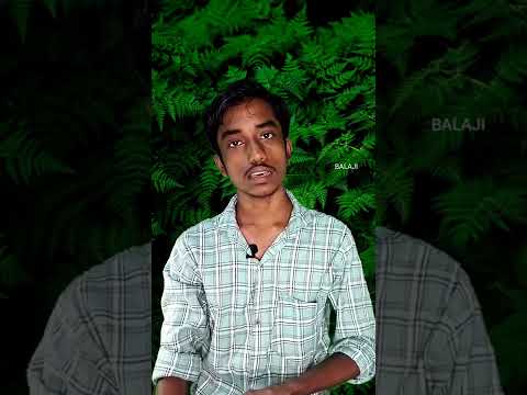 இந்தியாவின் வெளிநாட்டு கடன் இவ்வளவு லட்சம் கோடி ஆ..... | India Total Debt | Balaji | #shorts