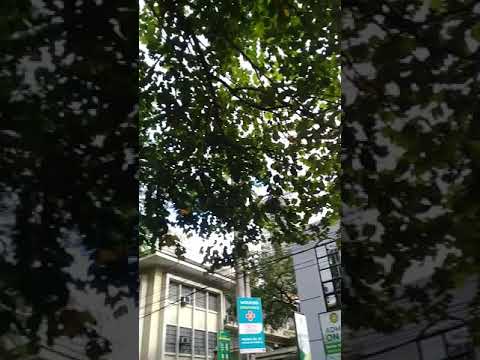 St. Paul University Manila