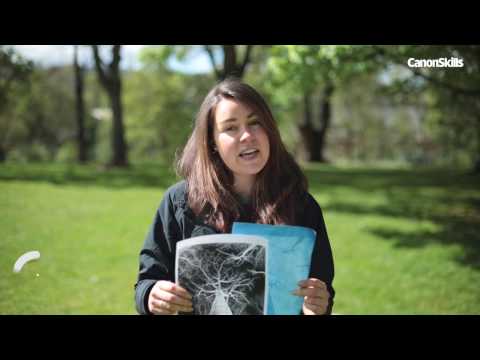 Create a Sun Print