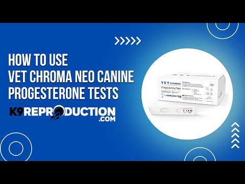 How to Use Vet Chroma Neo: A Detailed Overview Explained