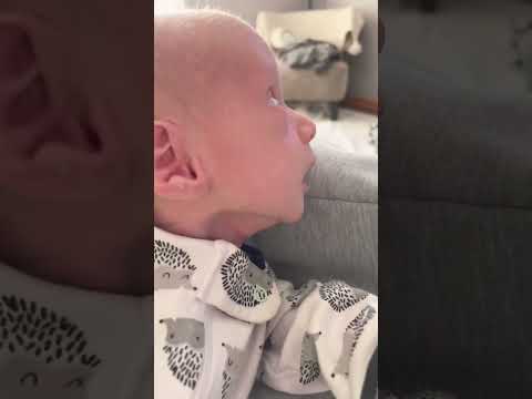 I SAID NO ???????? #itsallknee #babyshorts #cutebaby #baby #newborn #parenthood #parenting #babyboy