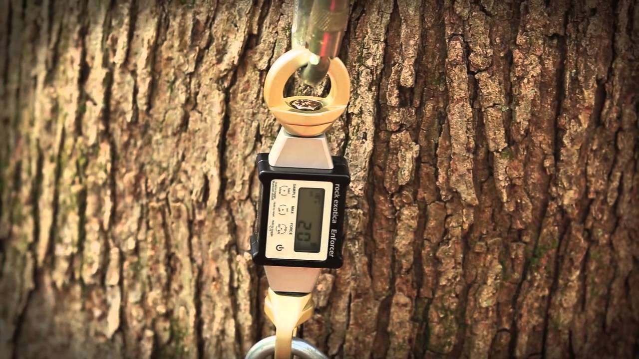SherrillTree Video Series: Climbing Forces