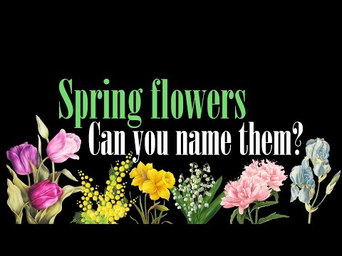 Spring Flowers Vocabulary ESL