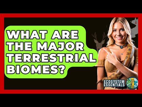 What Are The Major Terrestrial Biomes? - Ecosystem Essentials