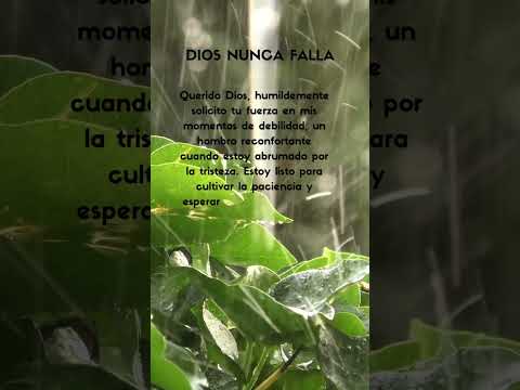 Dios nunca falla ✨