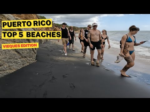 Discover Puerto Rico Top 5 Beaches! Vieques Edition