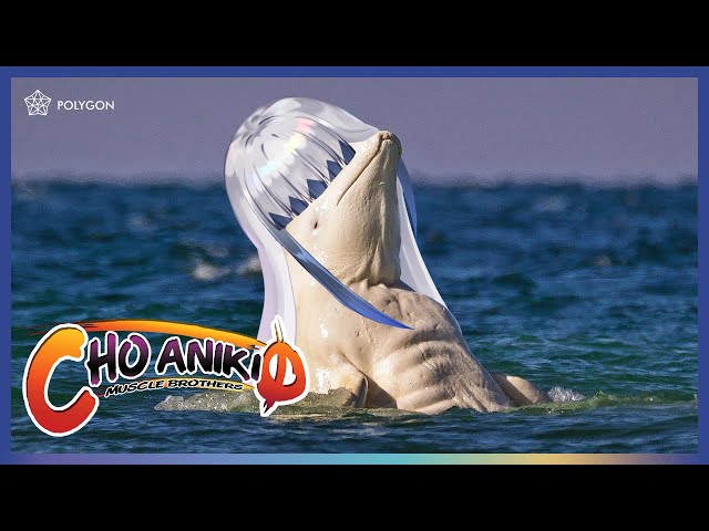 ขอร้องล่ะ... [Cho Aniki] | ZONA 🐳 | วิดีโอครีเอเตอร์ :: OS