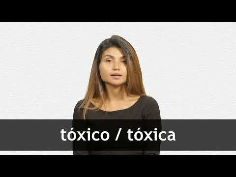 English Translation of “TÓXICO” | Collins Spanish-English Dictionary