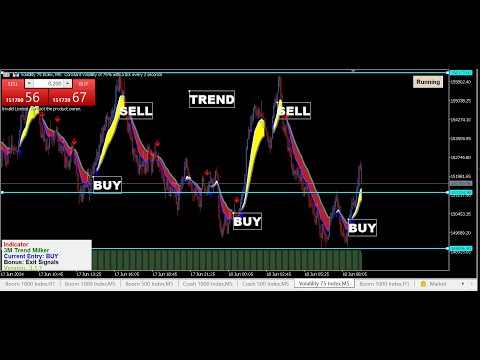 🔴 $500 FOREX TRADING TIPS Vol. 1247
