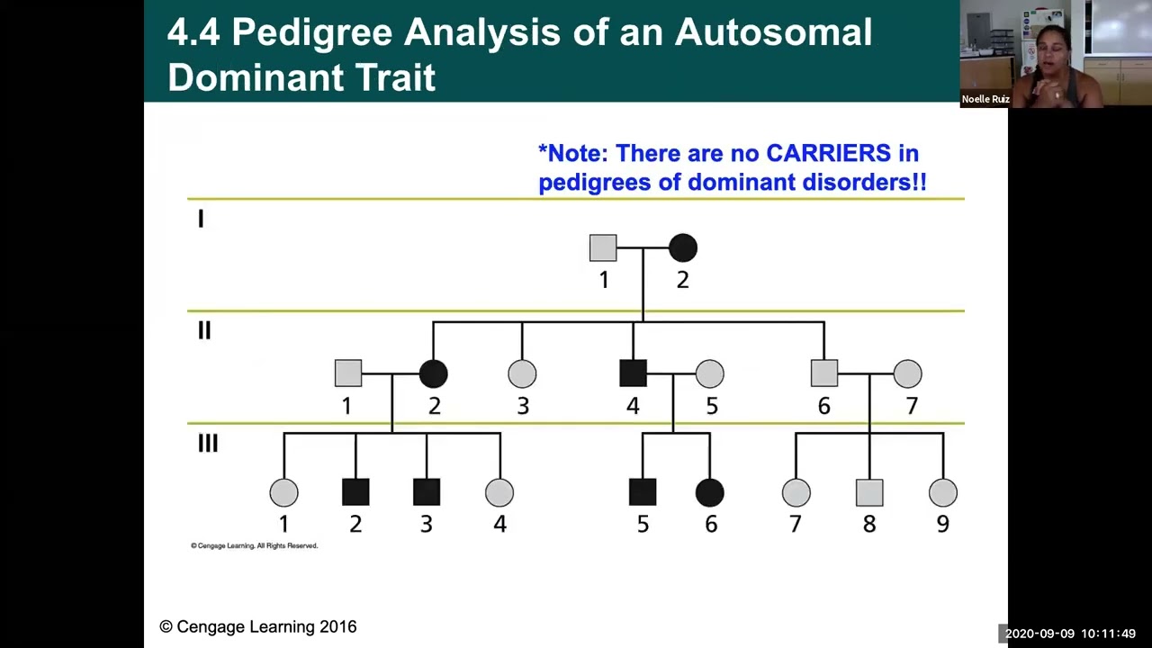 Bio134: Ch.4: Pedigree Analysis