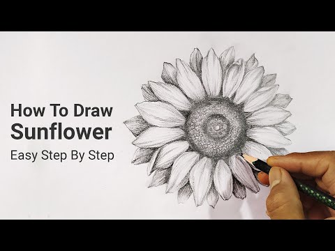 How To Draw Sunflower Easy Step By Step | Nature Drawing Lesson 5 | Realistic Flower with Pencil