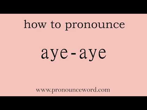 aye-aye: How to pronounce aye-aye in english (correct!).Start with A. Learn from me.