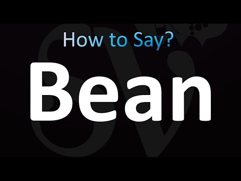 How to Pronounce Bean (Correctly!)