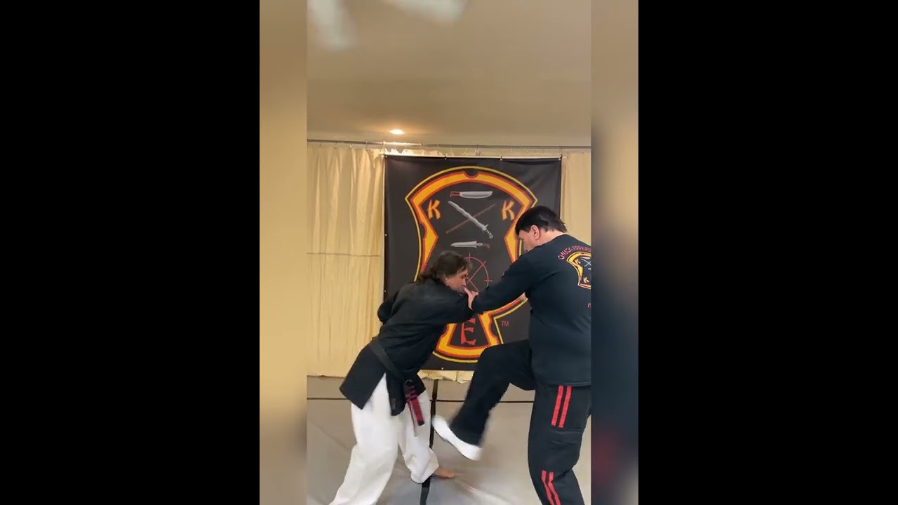 Kenpo Kali