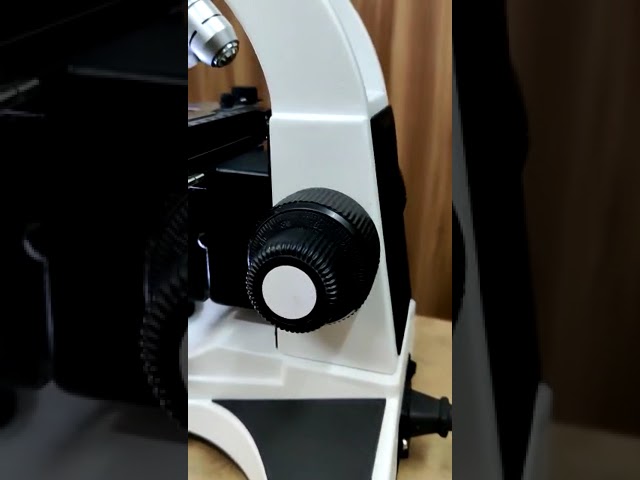 MICROSCOPE - Olympus Cx23 Binocular Microscope Manufacturer from Madurai