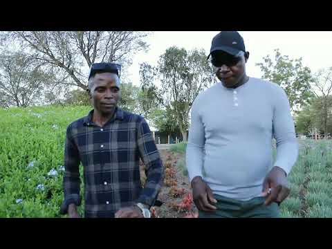 Nwamunyaka - Mahka ya Kuhanya ( Music Video ) +27 78 137 7001