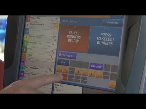 It's Post Time With Joe Kristufek: Interpreting Odds