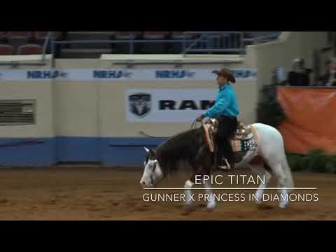 Epic Titan - Andrea Fappani - NRHA DERBY 2019 Open Go Round - Score 221