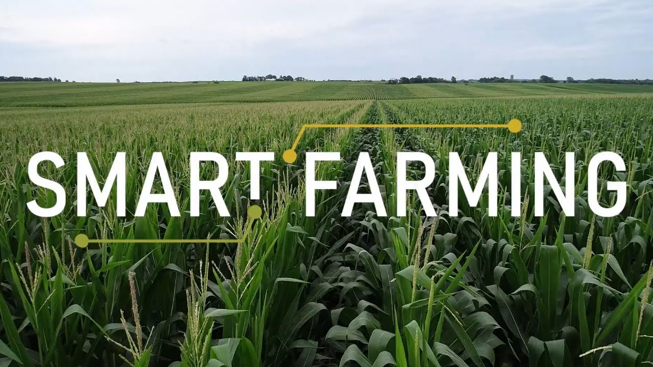 Smart Farming: Explore the Future of Technology and Innovation on the Farm