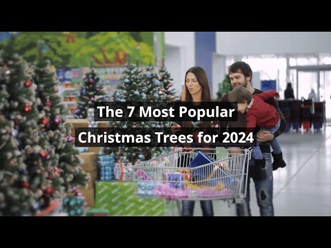 7 Most Popular Christmas Trees 2024: Top Trends