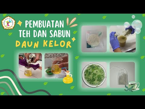 PEMANFAATAAN DAUN KELOR MENJADI SABUN BATANG DAN MINUMAN SEDUH