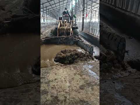 It is a good idea for livestock farms to build biogas digesters to ferment manure to get biogas !