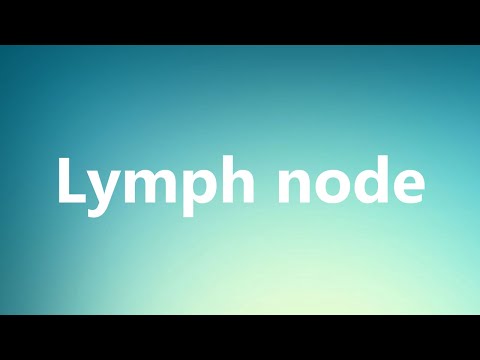 Lymph node - Medical Definition and Pronunciation