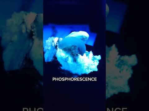 phosphorescent minerals are out of this world - this selenite emits light after the UV is removed