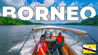Ten Things to Do in The Brunei River | Gems.Travel