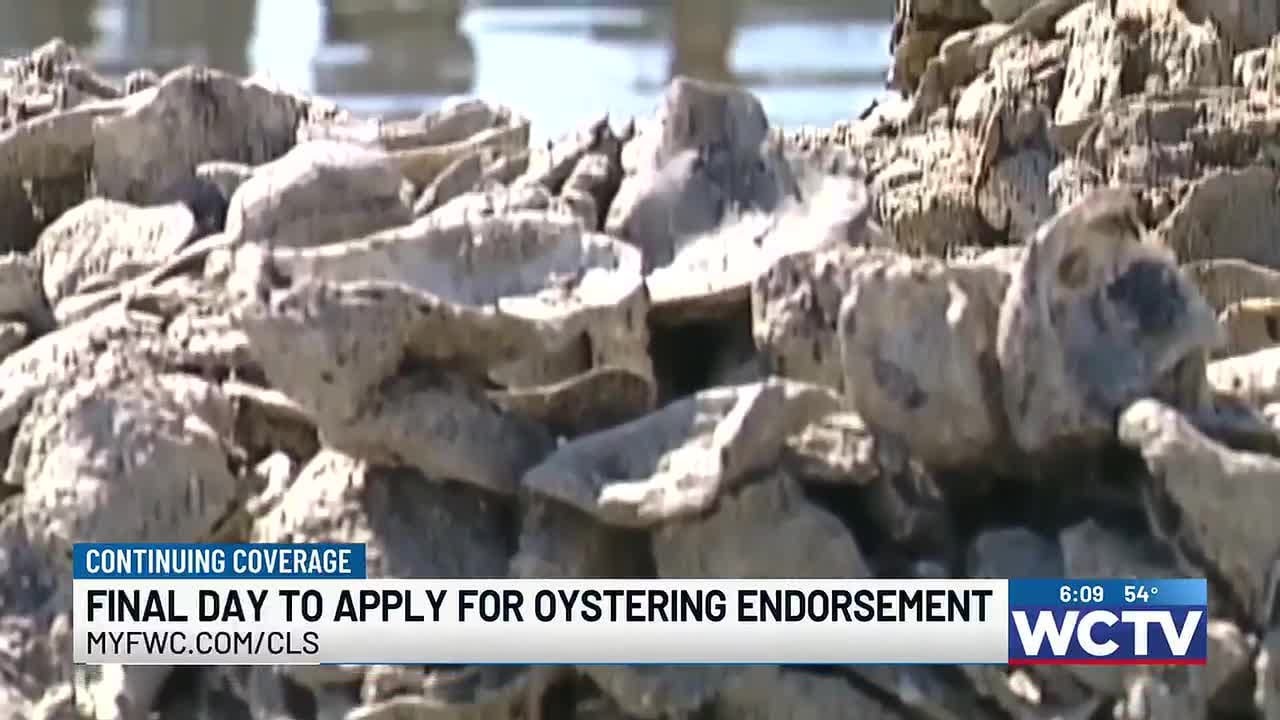 Tuesday marks final day to apply for FWC Apalachicola Bay oystering permit