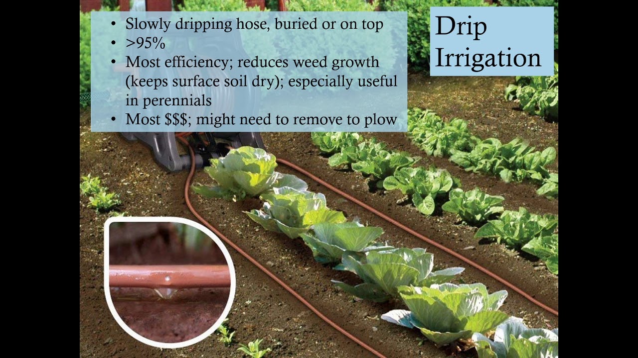 APES Unit 5.5: Irrigation Methods