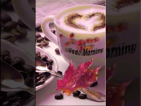 good Morning gif video