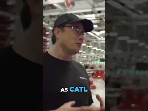 Tesla's LFP Battery Revolution & What You Need to Know!