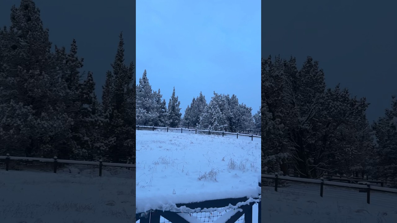 Beautiful #relaxing #nature #photography #aesthetic #beauty #snow #photographer #view