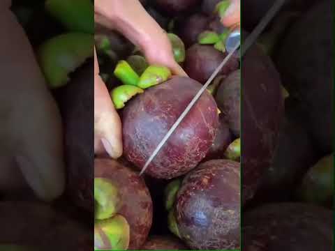 Frutas exóticas #mangostin