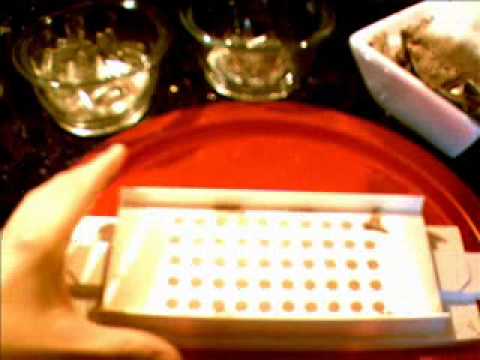 Cap-M-Quik Capsule Filling Machine | Herb Caps Maker | Filler Kit