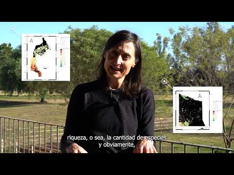 Flora y fauna amenazadas o en riesgo de peligro de extinción