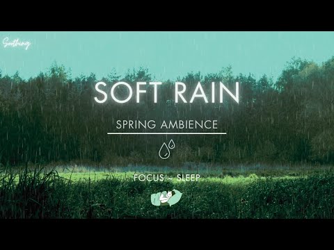 Soft Rain On Grass | NO ADS | Soothing Gentle Rain Sounds For Sleeping🌧