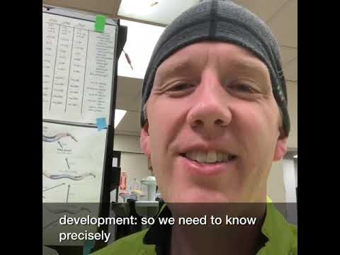 2019 developmental delay project