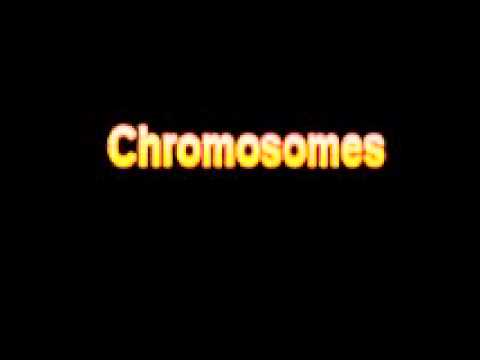 What Is The Definition Of Chromosomes - Medical Dictionary Free Online