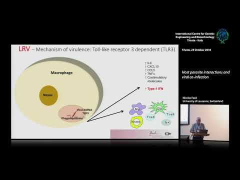 N. Fasel - Host parasite interactions and viral co-infections