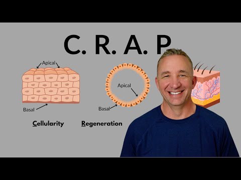 Characteristics of Epithelial Tissue