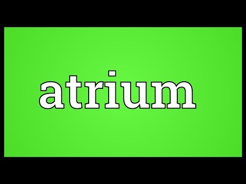 Atrium Meaning