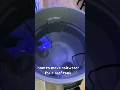 HOW TO MAKE SALTWATER FOR A REEF TANK #aquarium #fishtank #reeftank