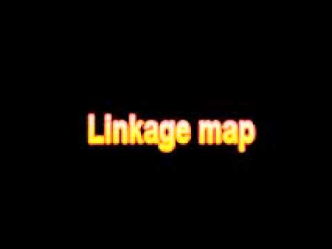 What Is The Definition Of Linkage map
