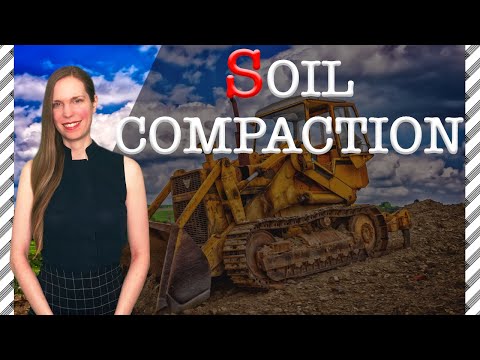 Soil Compaction: 6 Things You Should Know